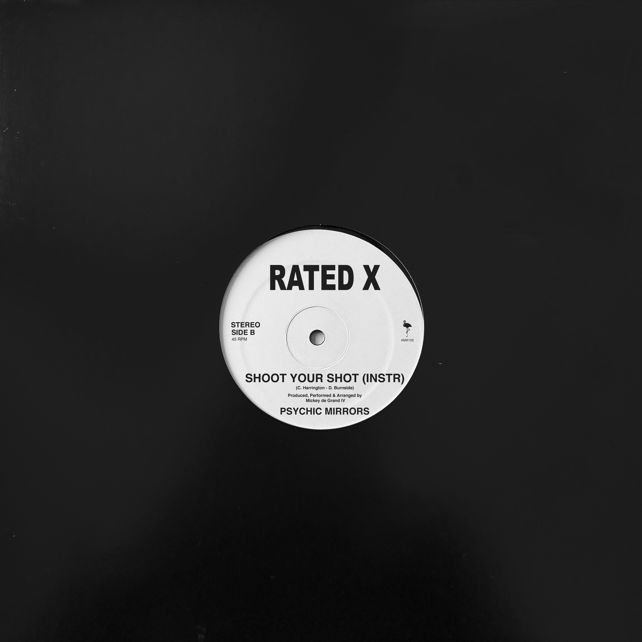 PSYCHIC MIRRORS Shoot Your Shot 12" SINGLE – Amnisia